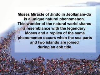 The Jindo Moses Miracle | PPT