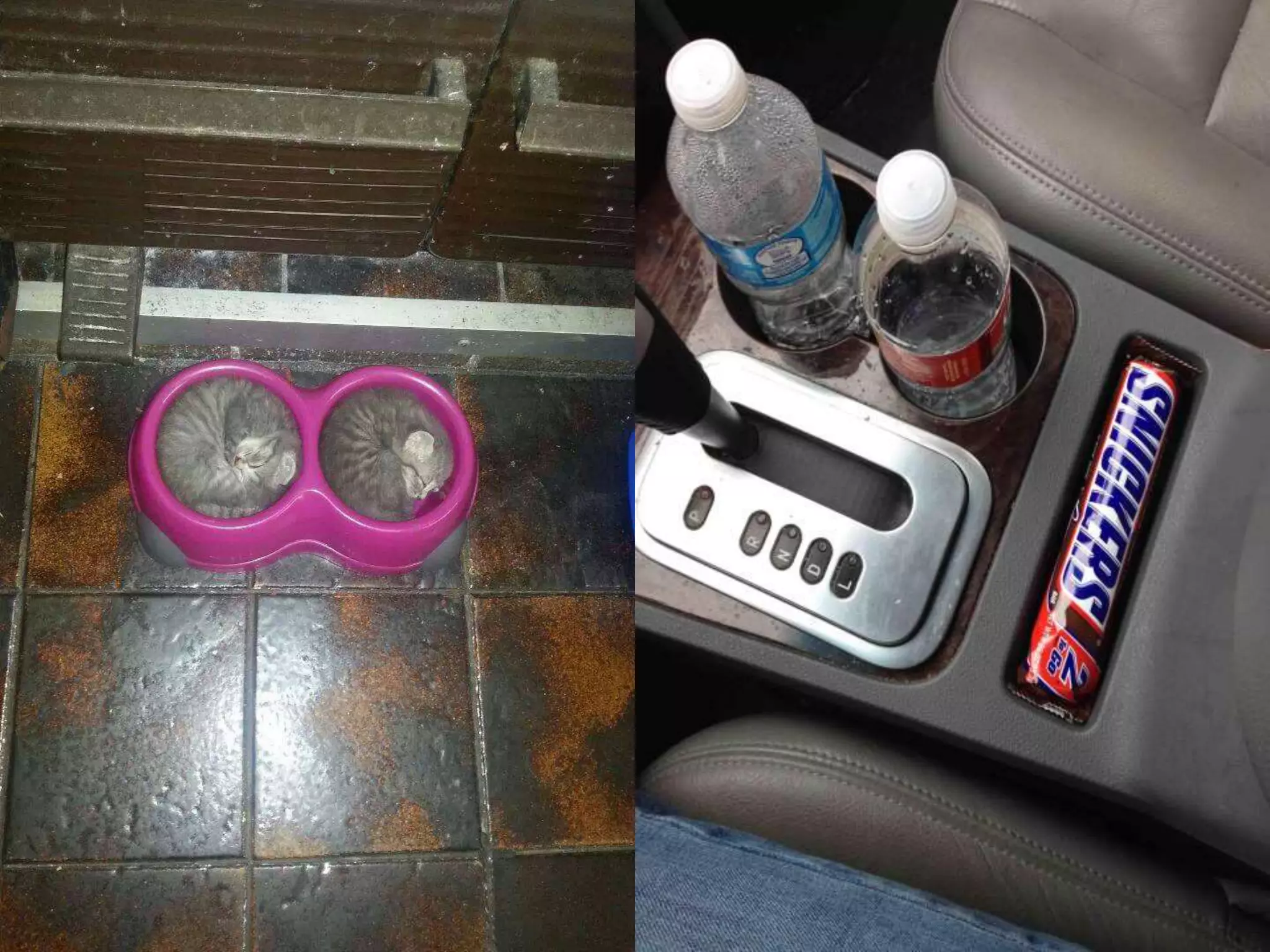 Answering Job Application Questions | PPT