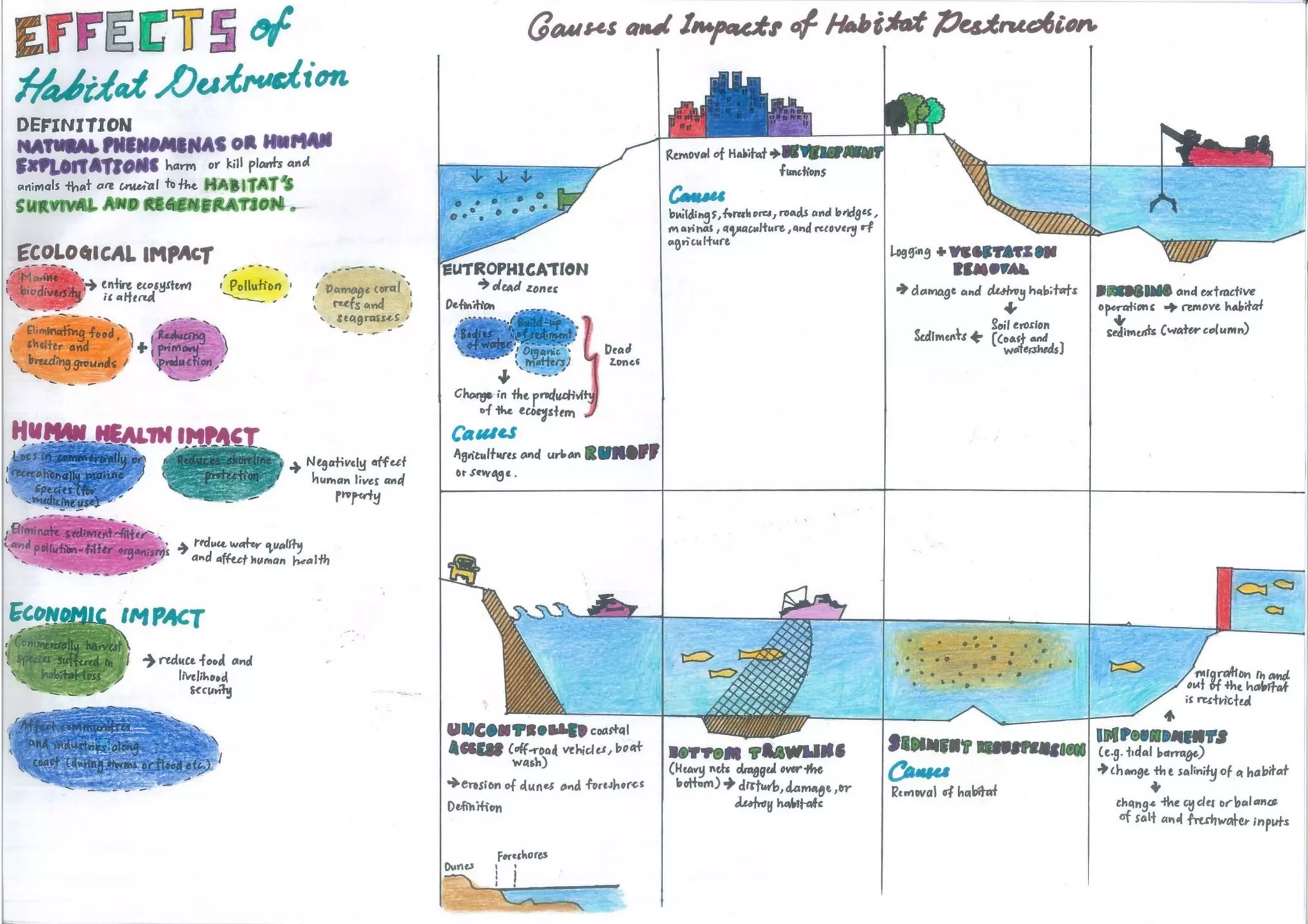 The Journal - Visual Note Taking | PDF