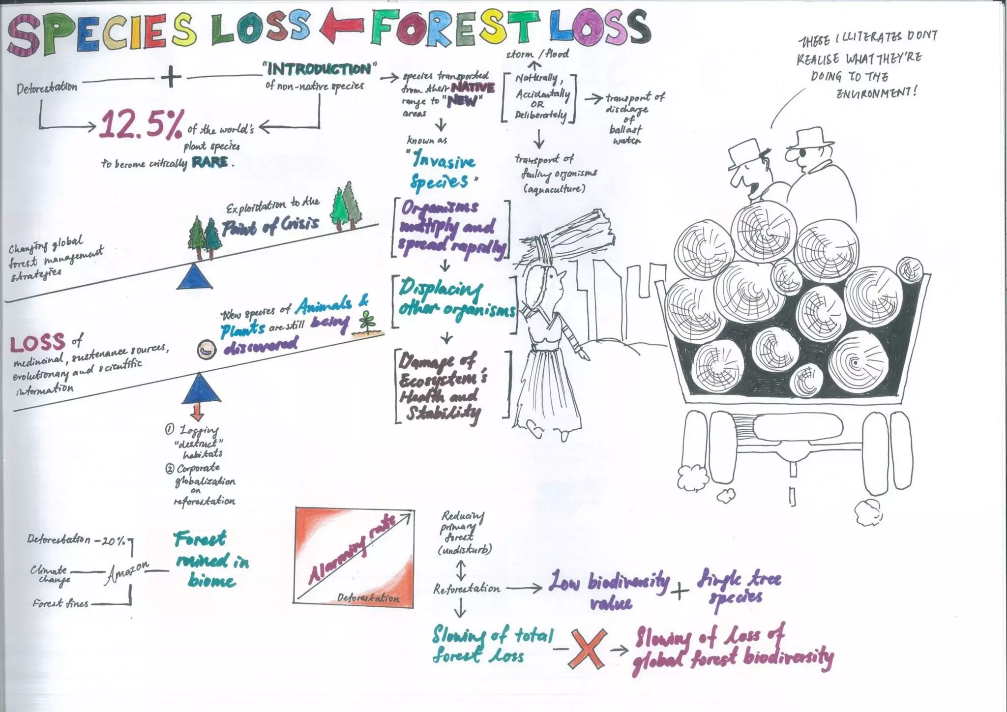 The Journal - Visual Note Taking | PDF