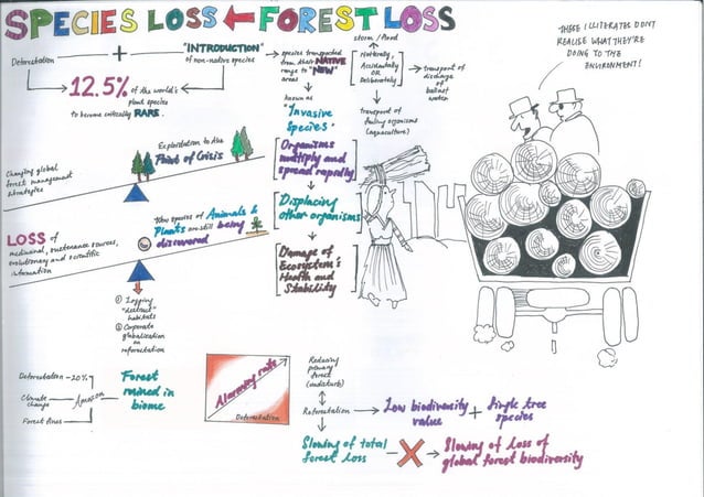 The Journal - Visual Note Taking | PDF