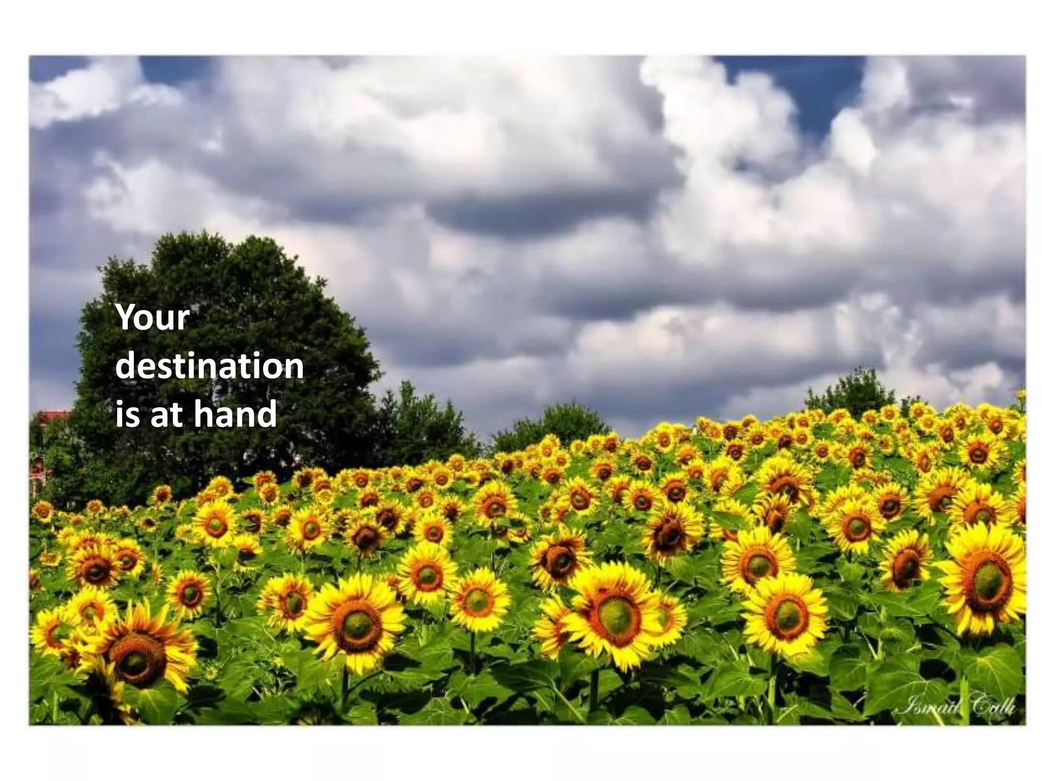 The journey | PPT