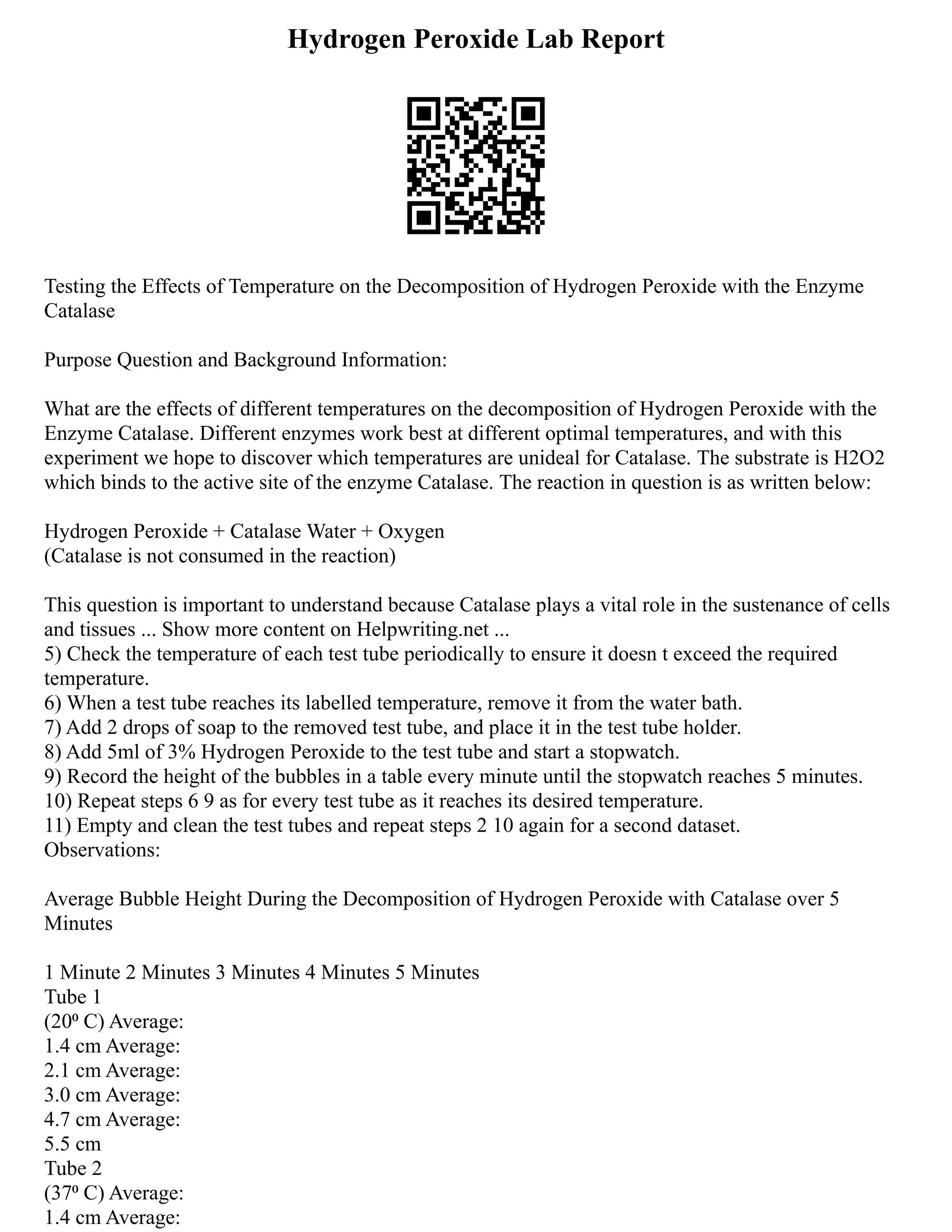 The Journey, Creative Writing - GCSE English - Marked B | PDF