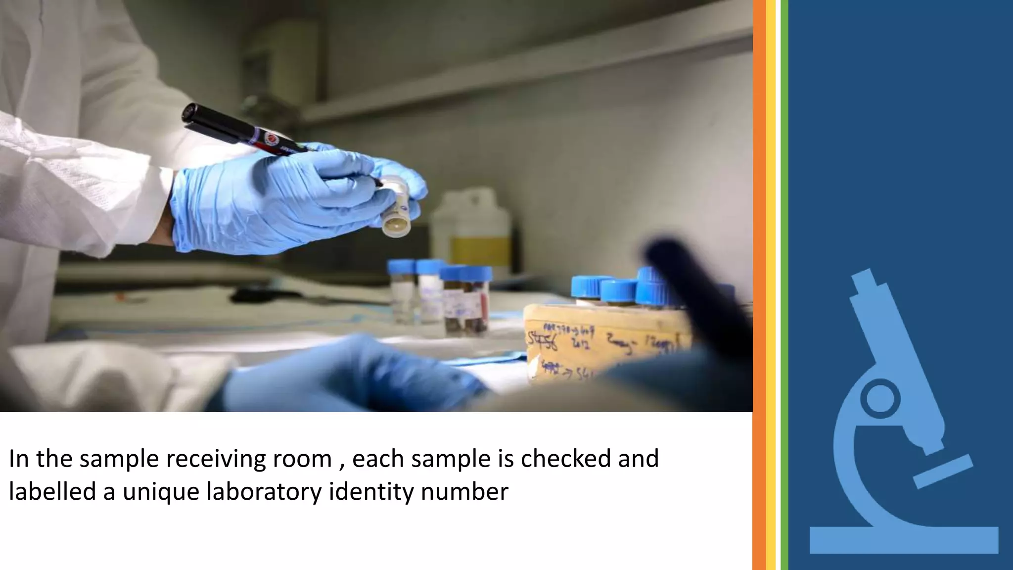 THE JOURNEY OF A STOOL SAMPLE--.pptx