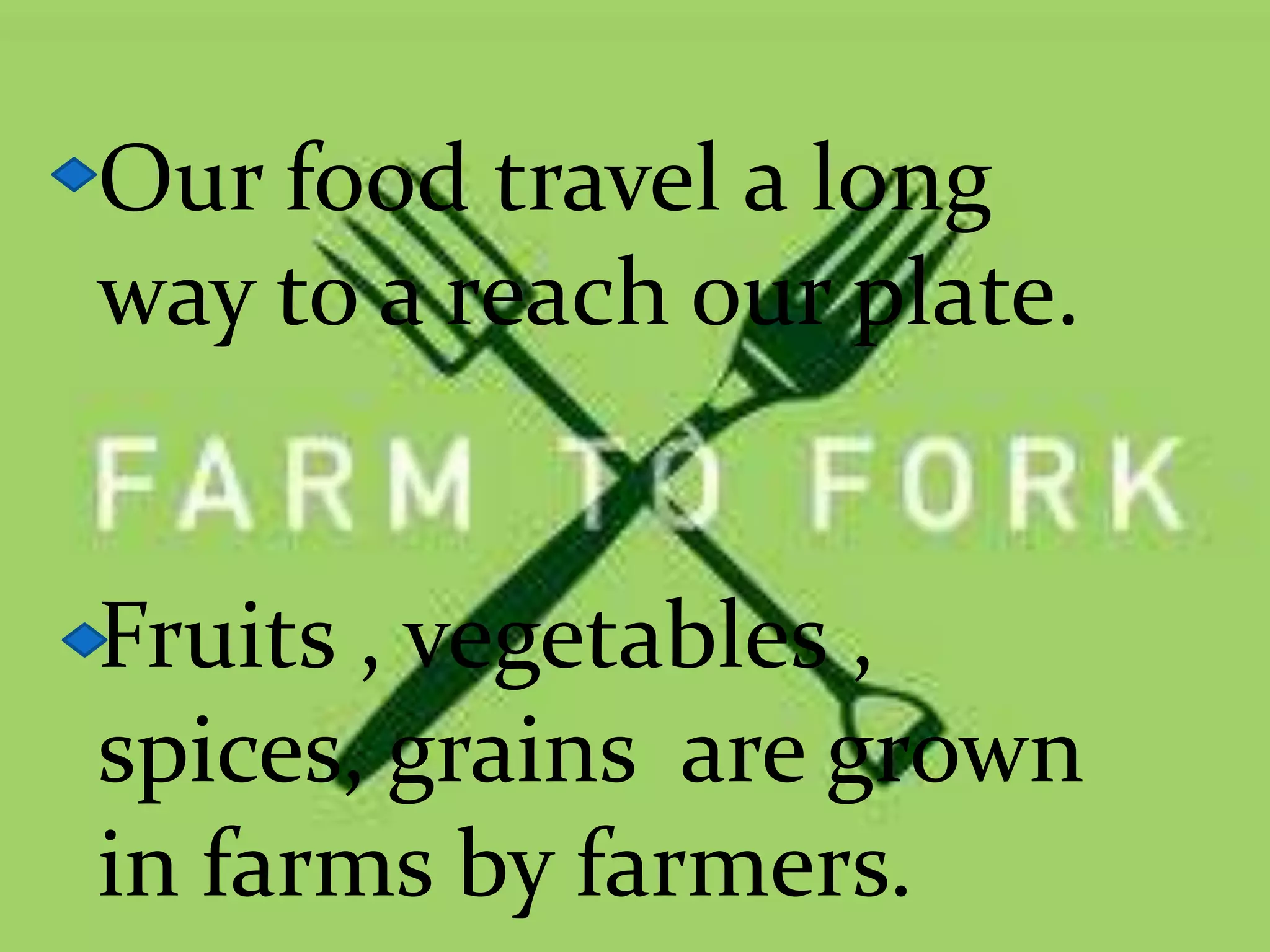 The journey of food | PPTX