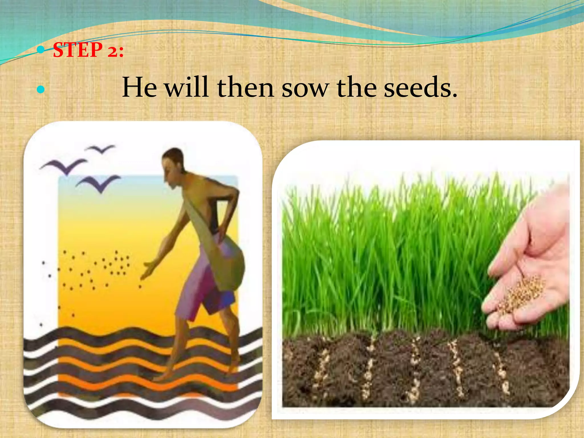 The journey of food | PPTX