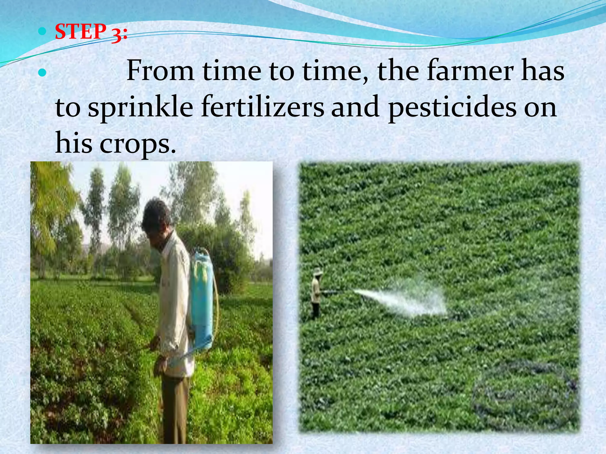 The journey of food | PPTX