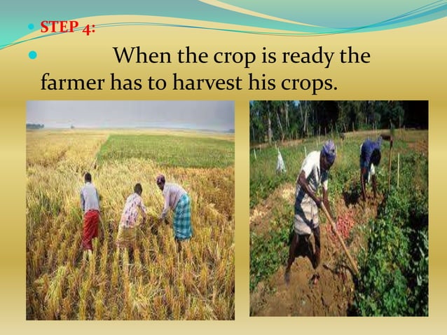 The journey of food | PPTX