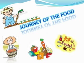 The journey of food | PPT