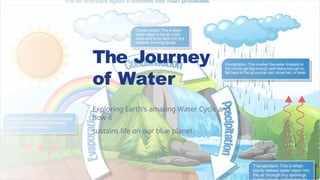 The Journey of Water.The Earth's Water Cycle Guide | PPTX