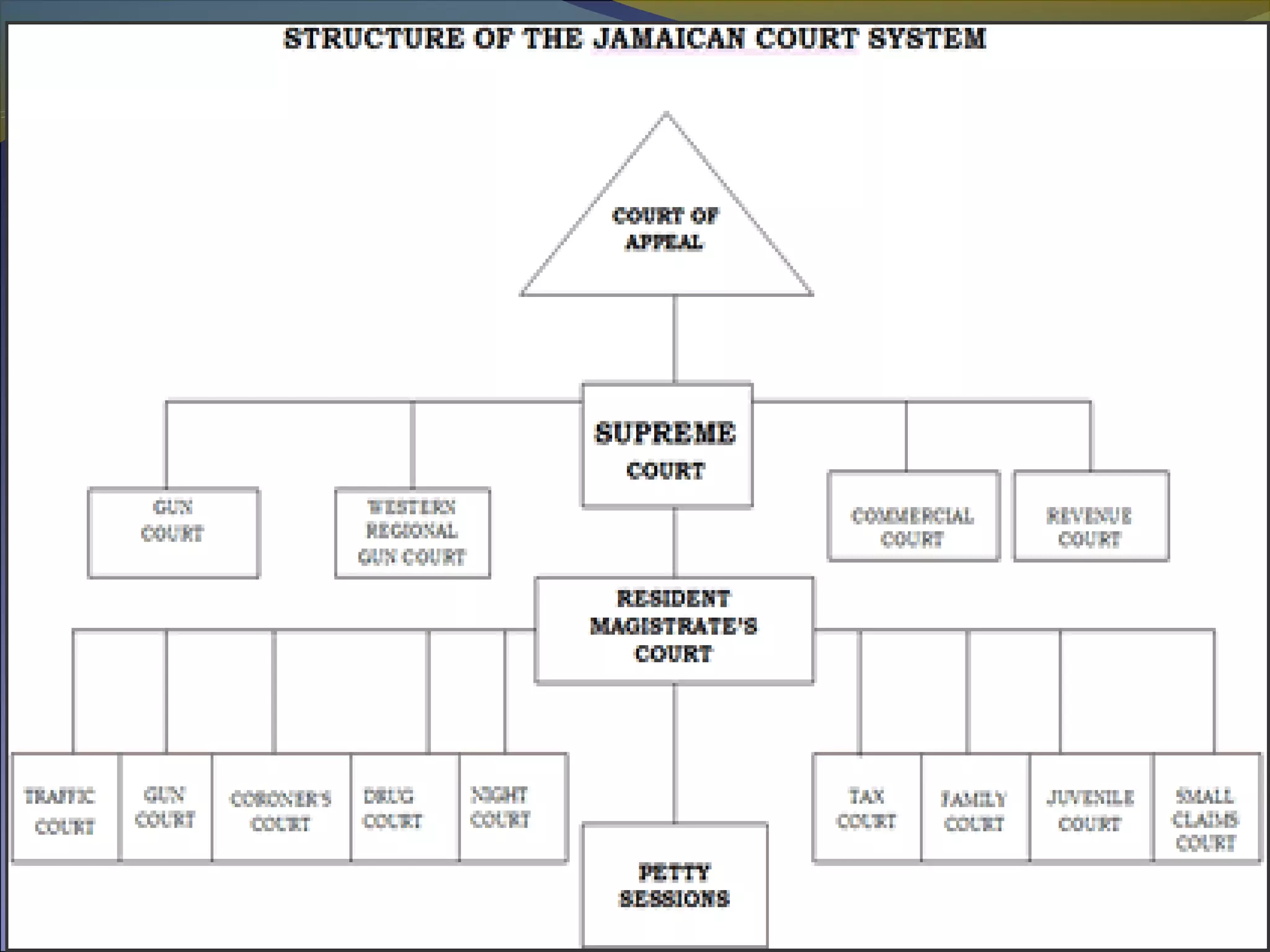 The judicial system | PPT