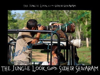 The Jungle Look ~ Sudhir Shivaram' s Wildlife Photography | PPT