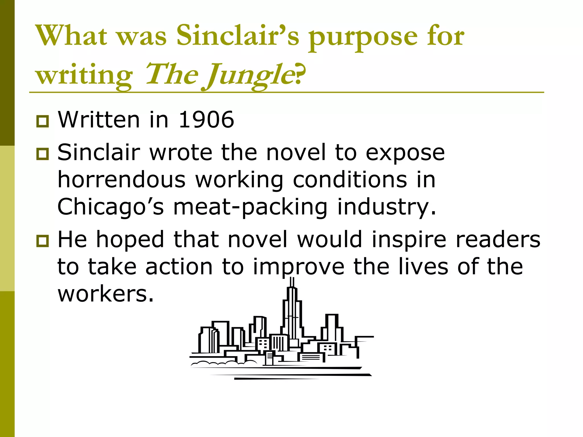 The jungle ppt | PPTX