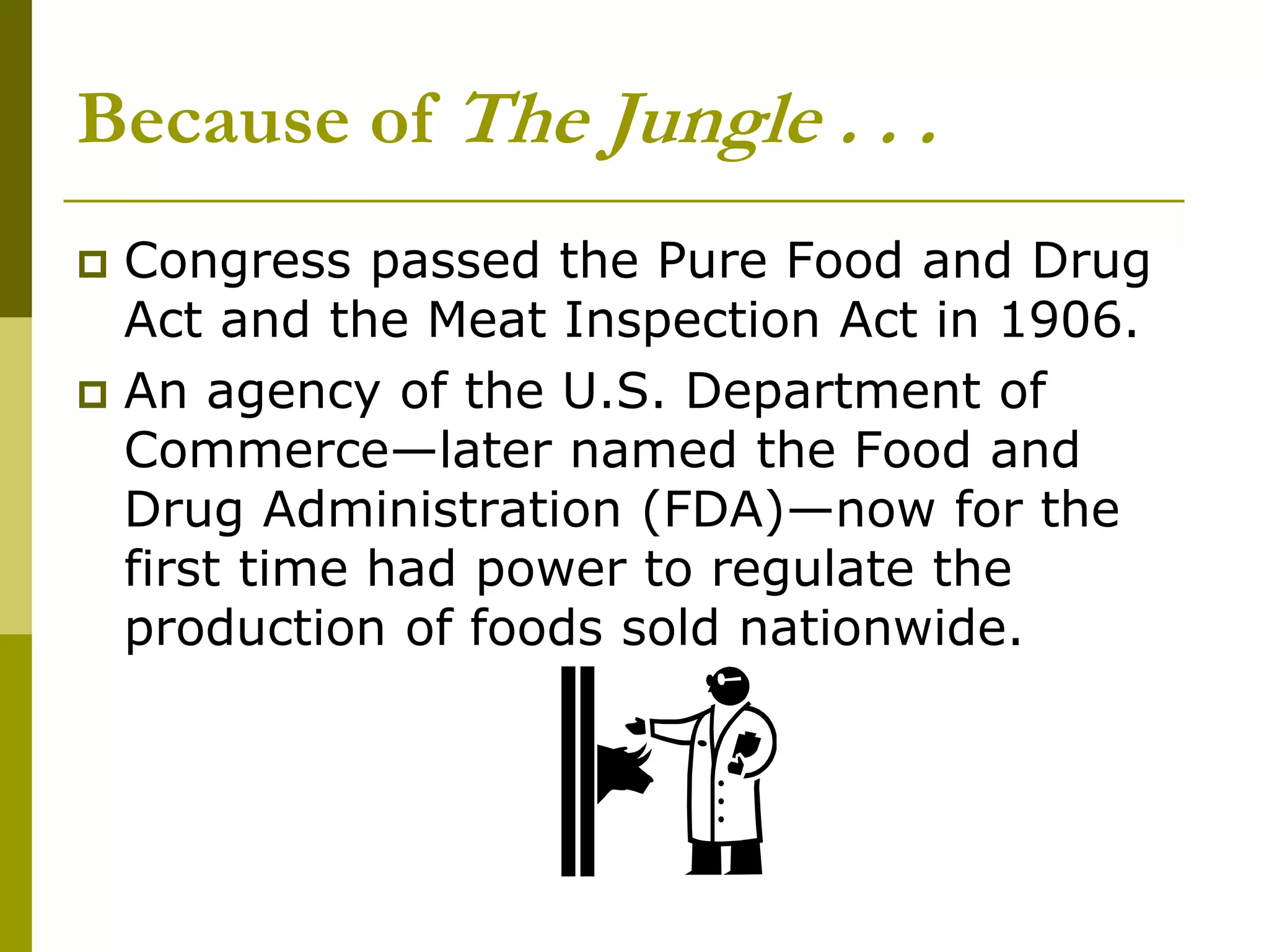 The jungle ppt | PPTX