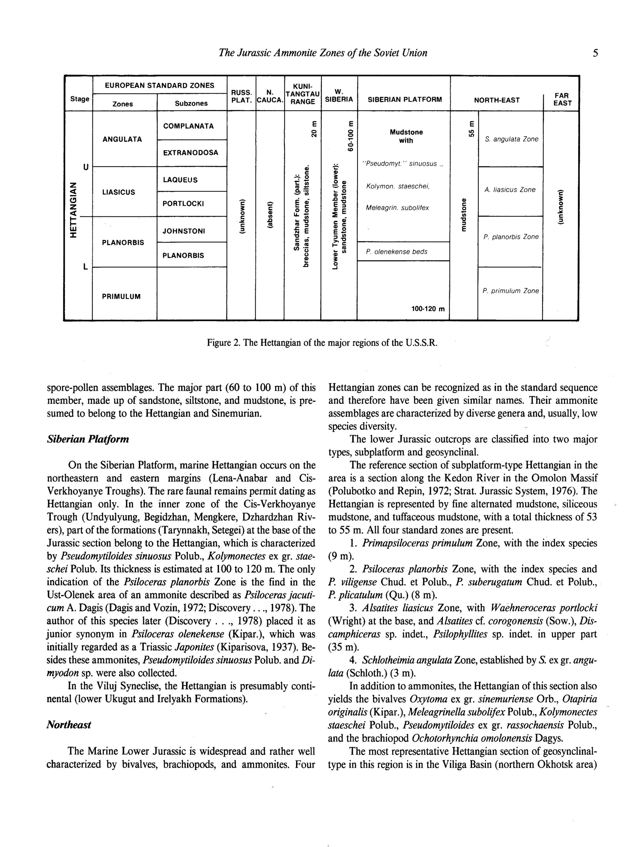 THE JURASIC AMMONITES ZONES OF THE SOVIET UNION | PDF