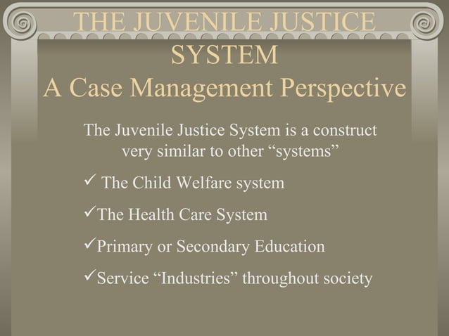The juvenile justice system | PPT