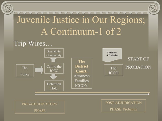 The juvenile justice system | PPT