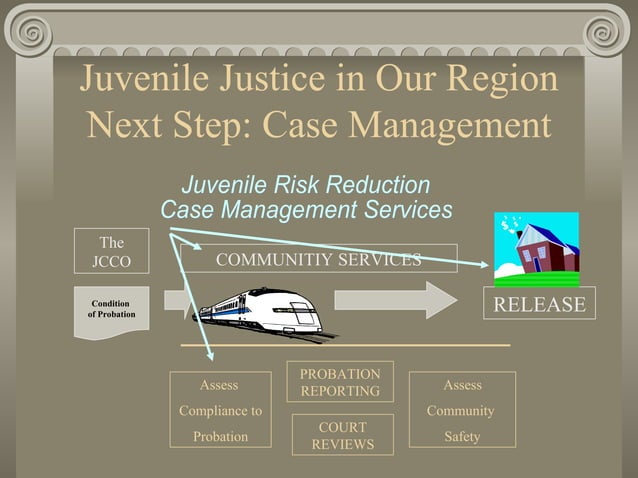 The juvenile justice system | PPT