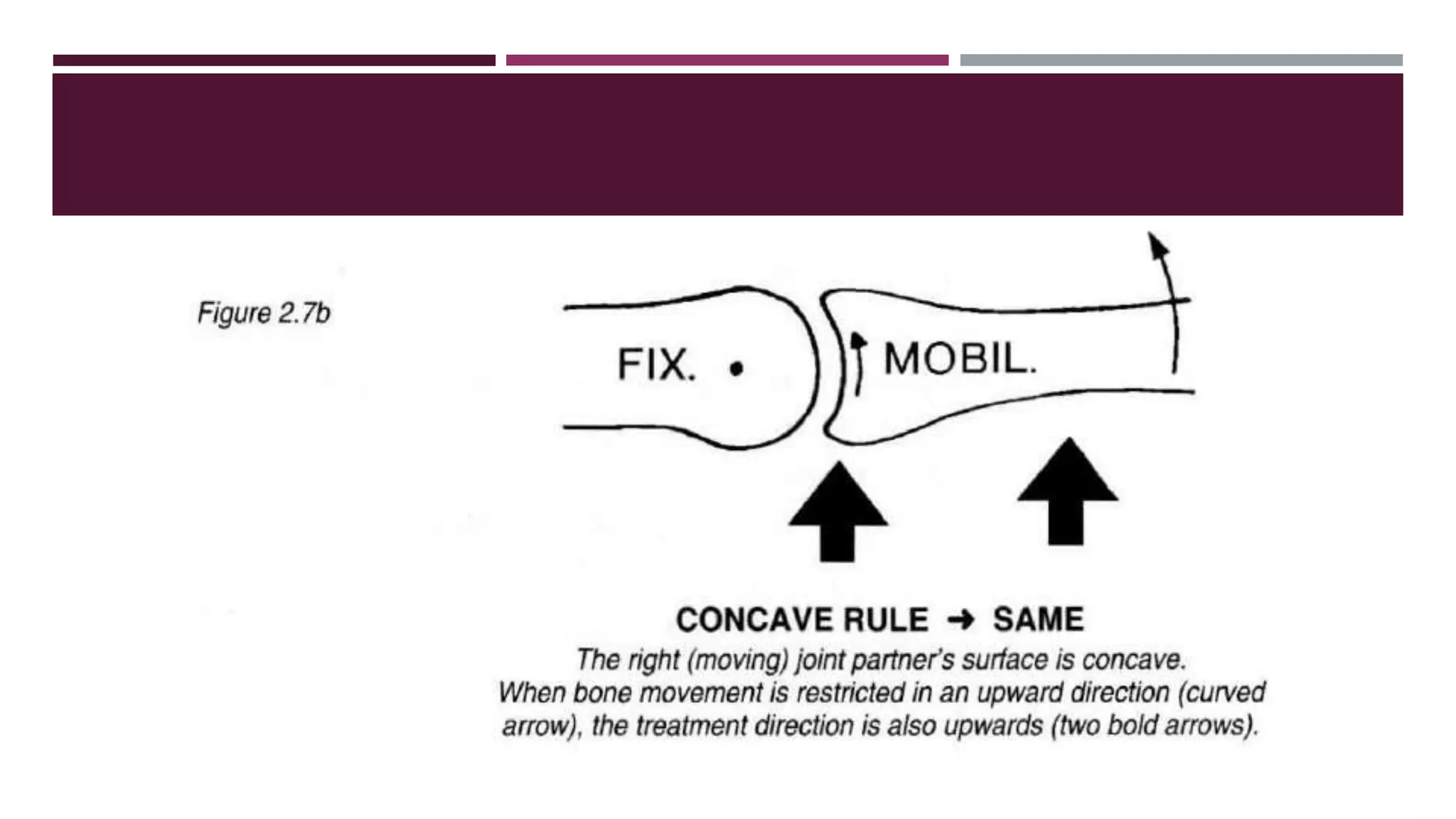 THE KALTENBORN MOBILIZATION.pptx