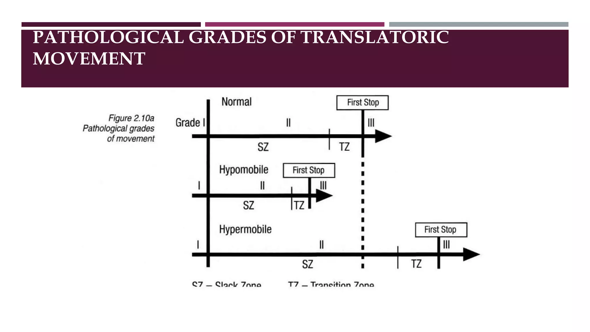 The Kaltenborn Mobilization Pptx