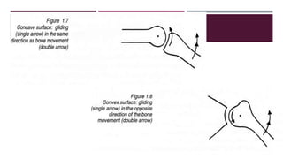 THE KALTENBORN MOBILIZATION.pptx