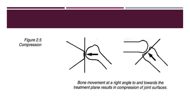 The Kaltenborn Mobilization Pptx