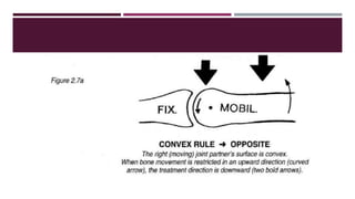 THE KALTENBORN MOBILIZATION.pptx