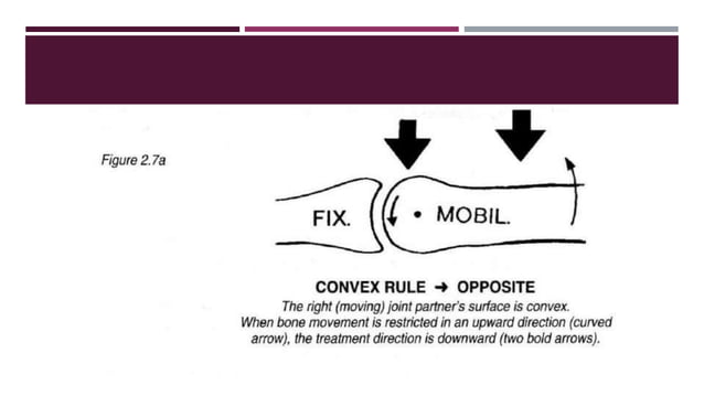 THE KALTENBORN MOBILIZATION.pptx