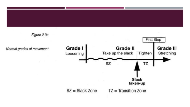 THE KALTENBORN MOBILIZATION.pptx
