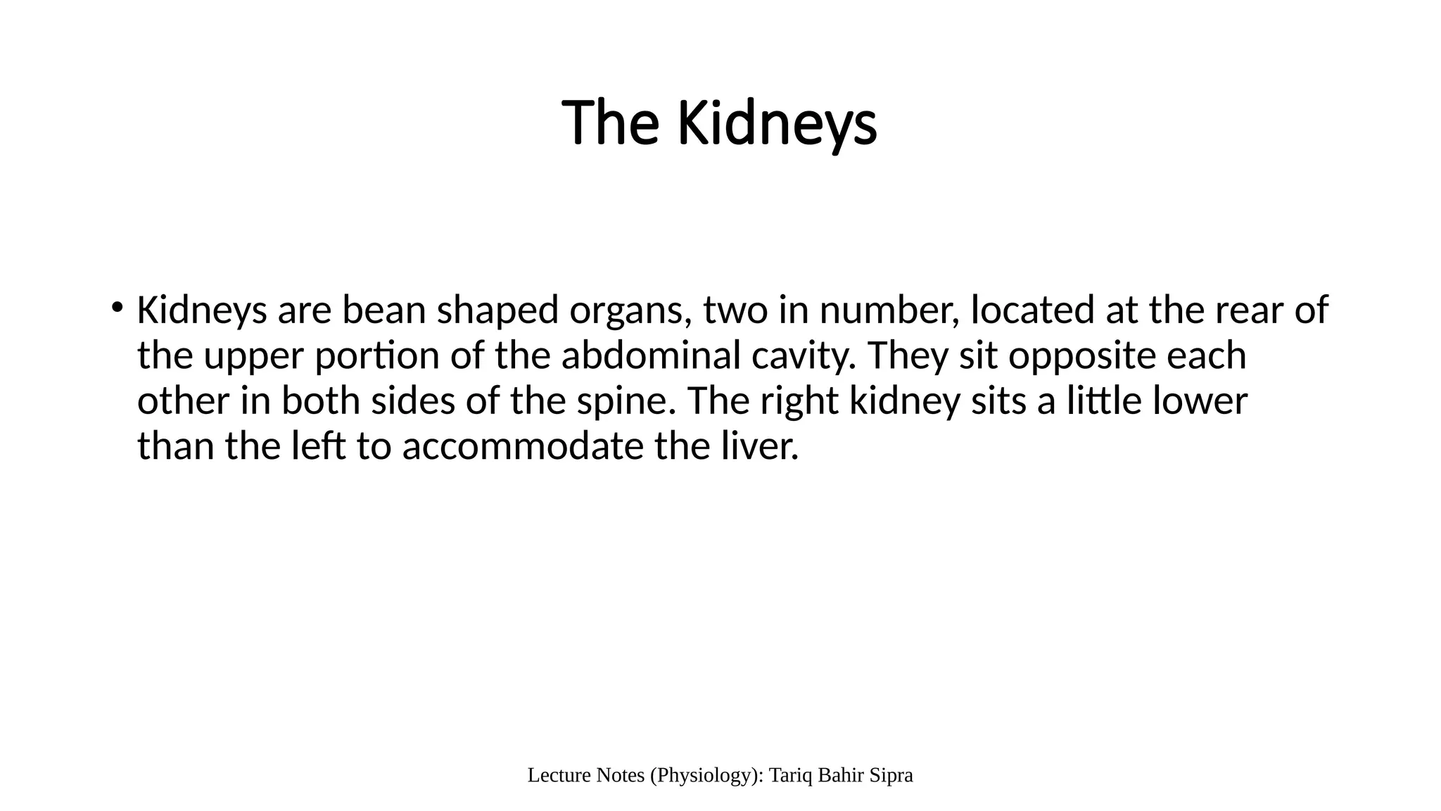 The Kidnesys its Endocrine Functions.pptx