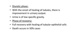 The Kidney and anatomy and pathophysiology | PDF | Chemistry | Science