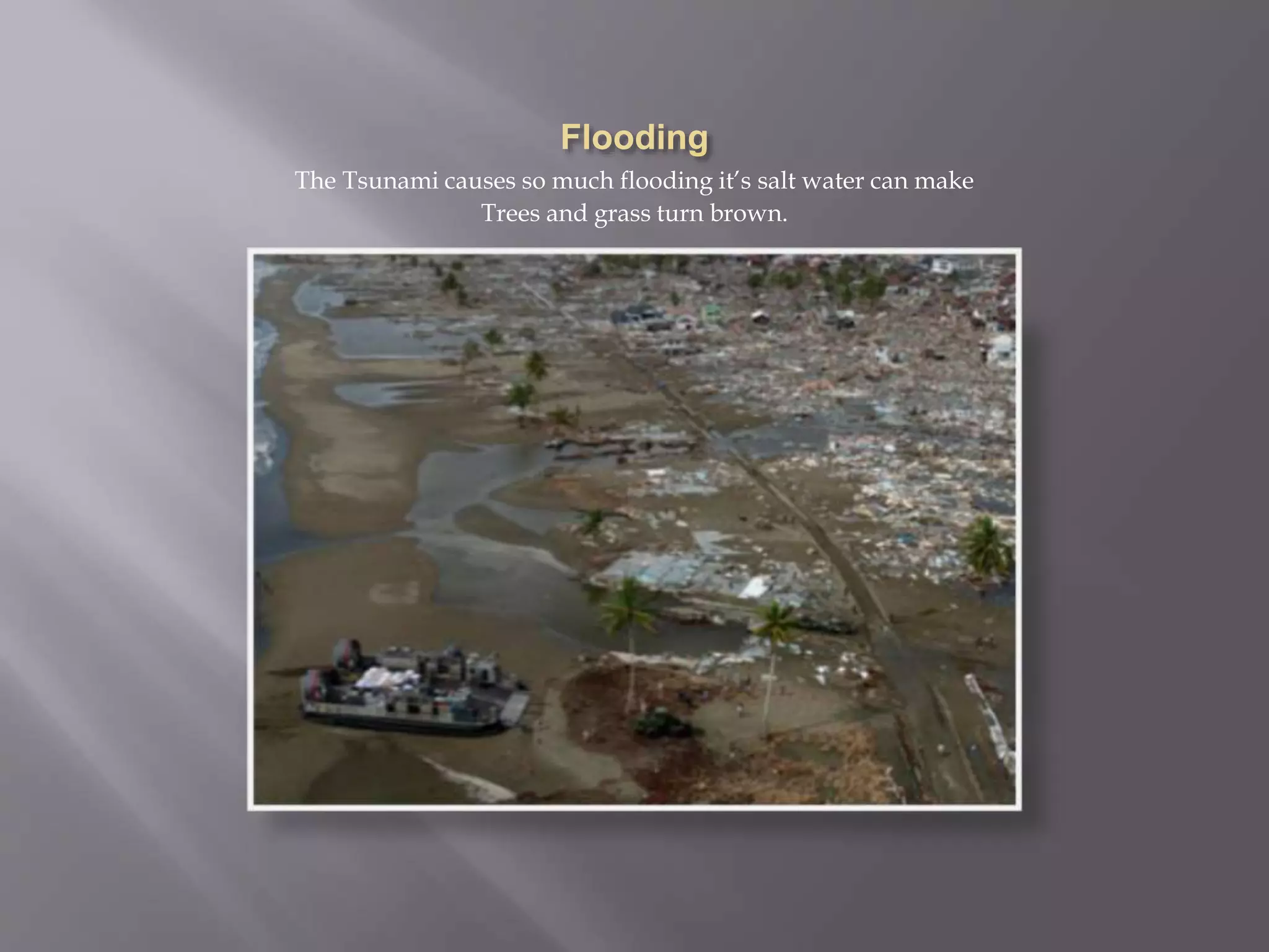 The Killer Tsunami | PPT