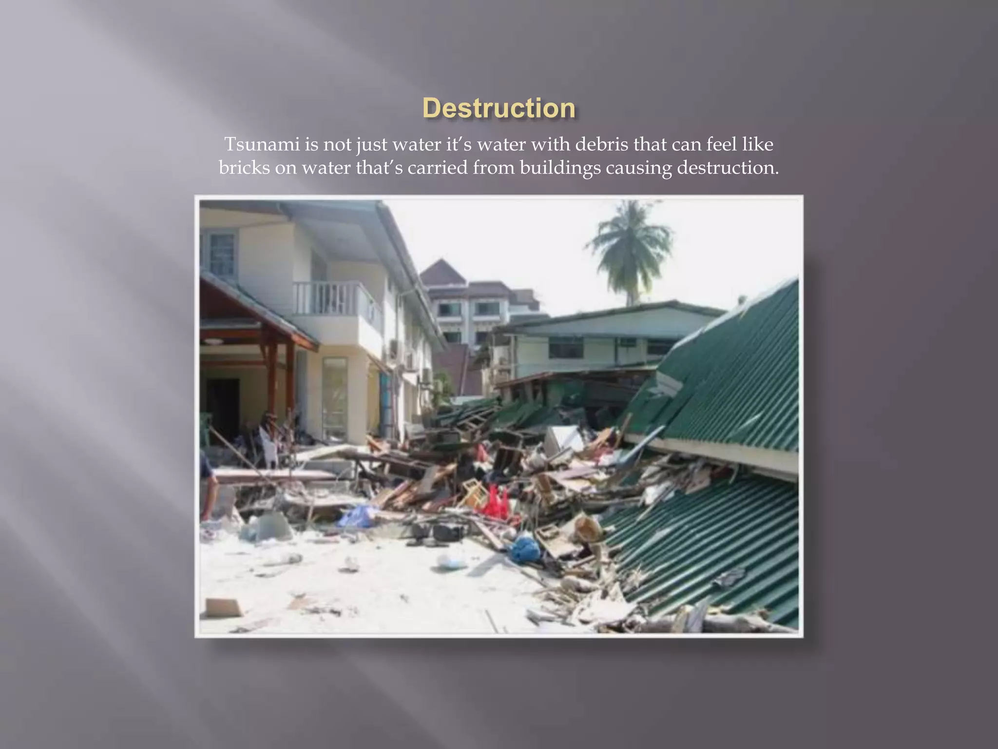 The Killer Tsunami | PPT