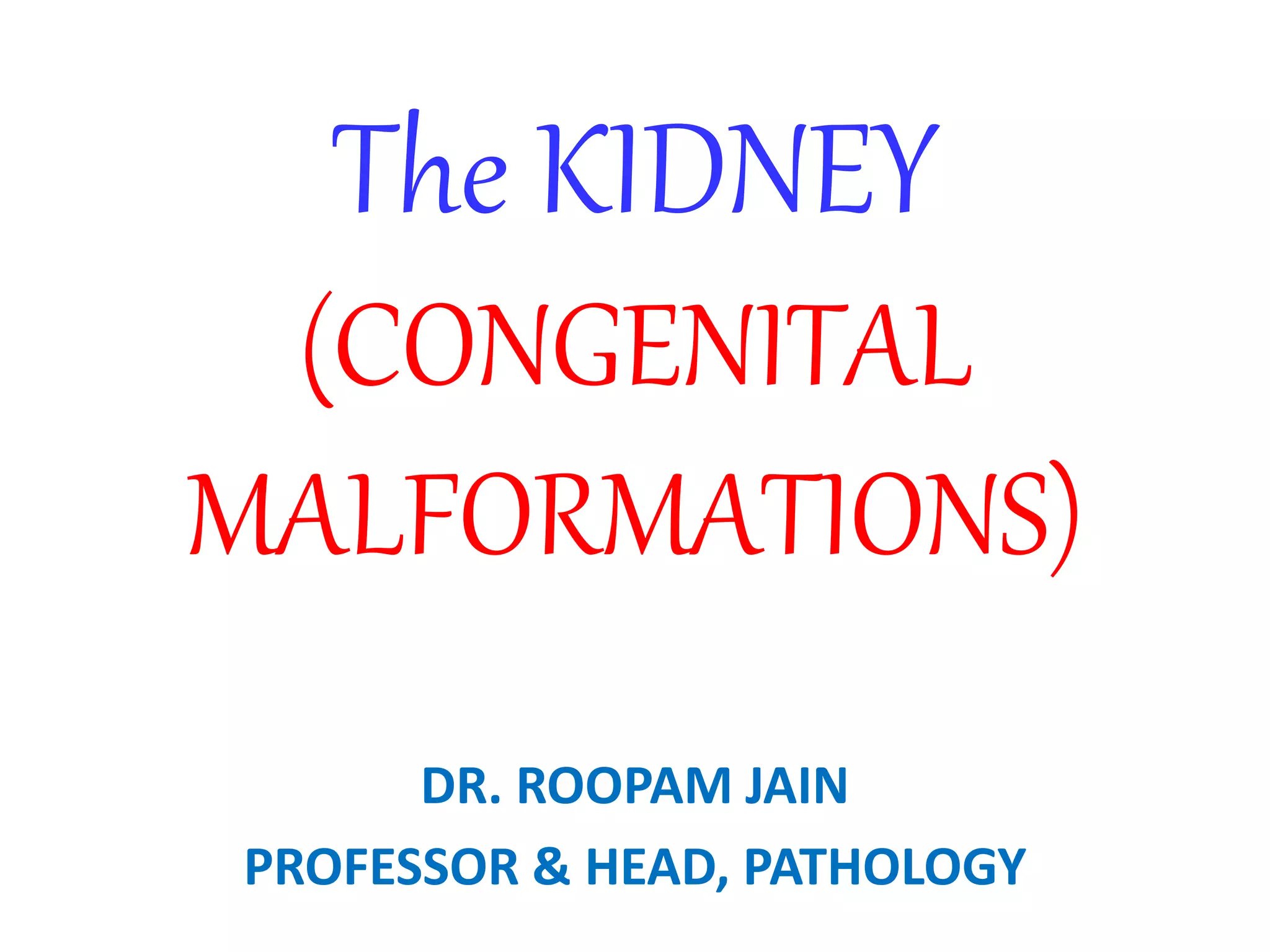 CONGENITAL MALFORMATIONS OF KIDNEY | PPTX
