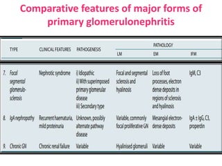 The KIDNEY: SPECIFIC TYPES OF GLOMERULAR DISEASES | PPTX