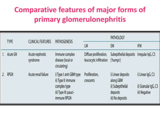 The Kidney : Primary glomerulonephritis | PPTX