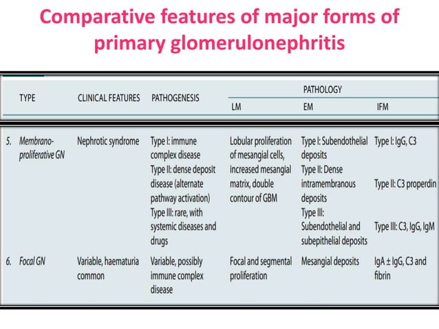 The KIDNEY: Comparative features of major forms of primary ...