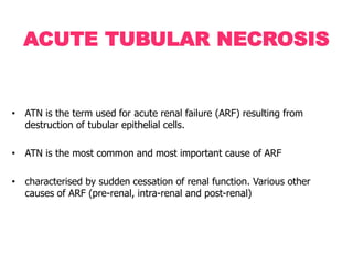 TUBULAR & TUBULOINTERSTITIAL DISEASES | PPTX