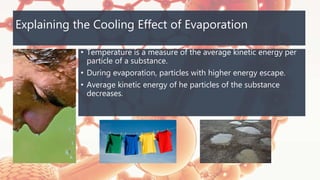 The Kinetic Model of Matter | PPTX