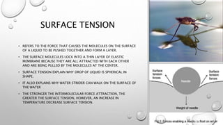 The kinetic molecular theory of solids and liquids | PPTX