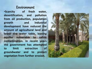 The kingdom of bahrain presentation ppt | PPTX