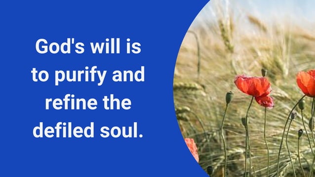 Slideshow: What Is The Kingdom Of God Look Like? | PPT