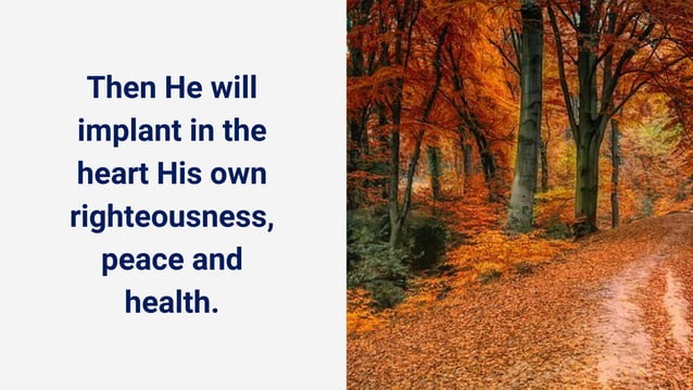 Slideshow: What Is The Kingdom Of God Look Like? | PPT