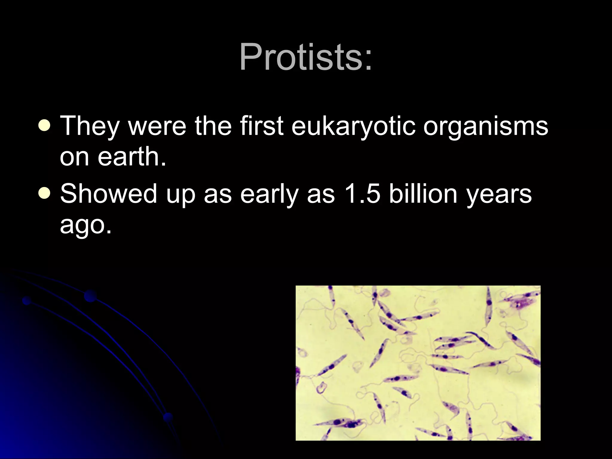 The Kingdom Protista | PPT