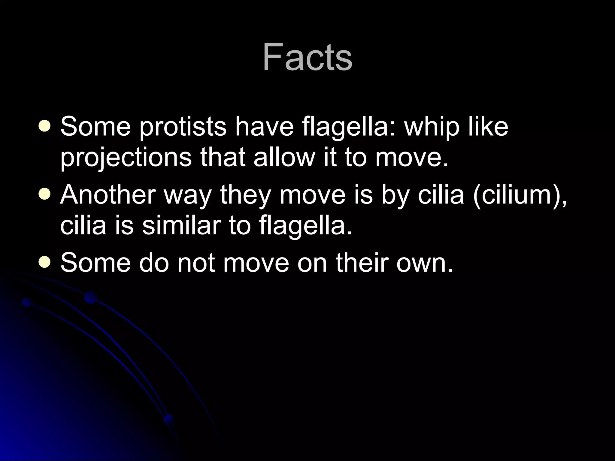The Kingdom Protista | PPT