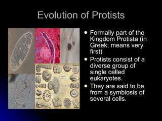 The Kingdom Protista | PPT