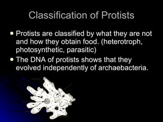 The Kingdom Protista | PPT