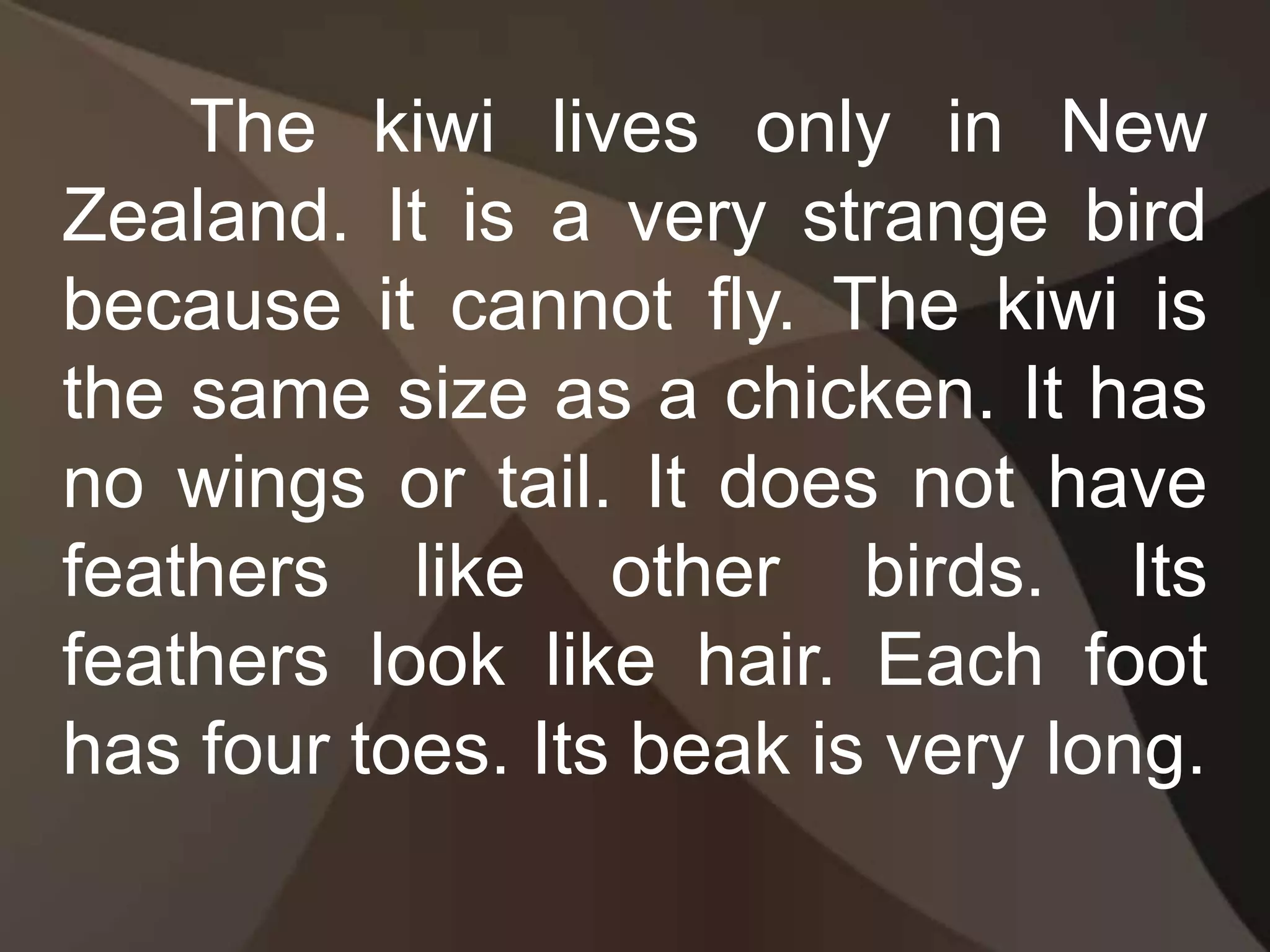 The kiwi.pptx apresentacao | PPTX | Birds | Pets