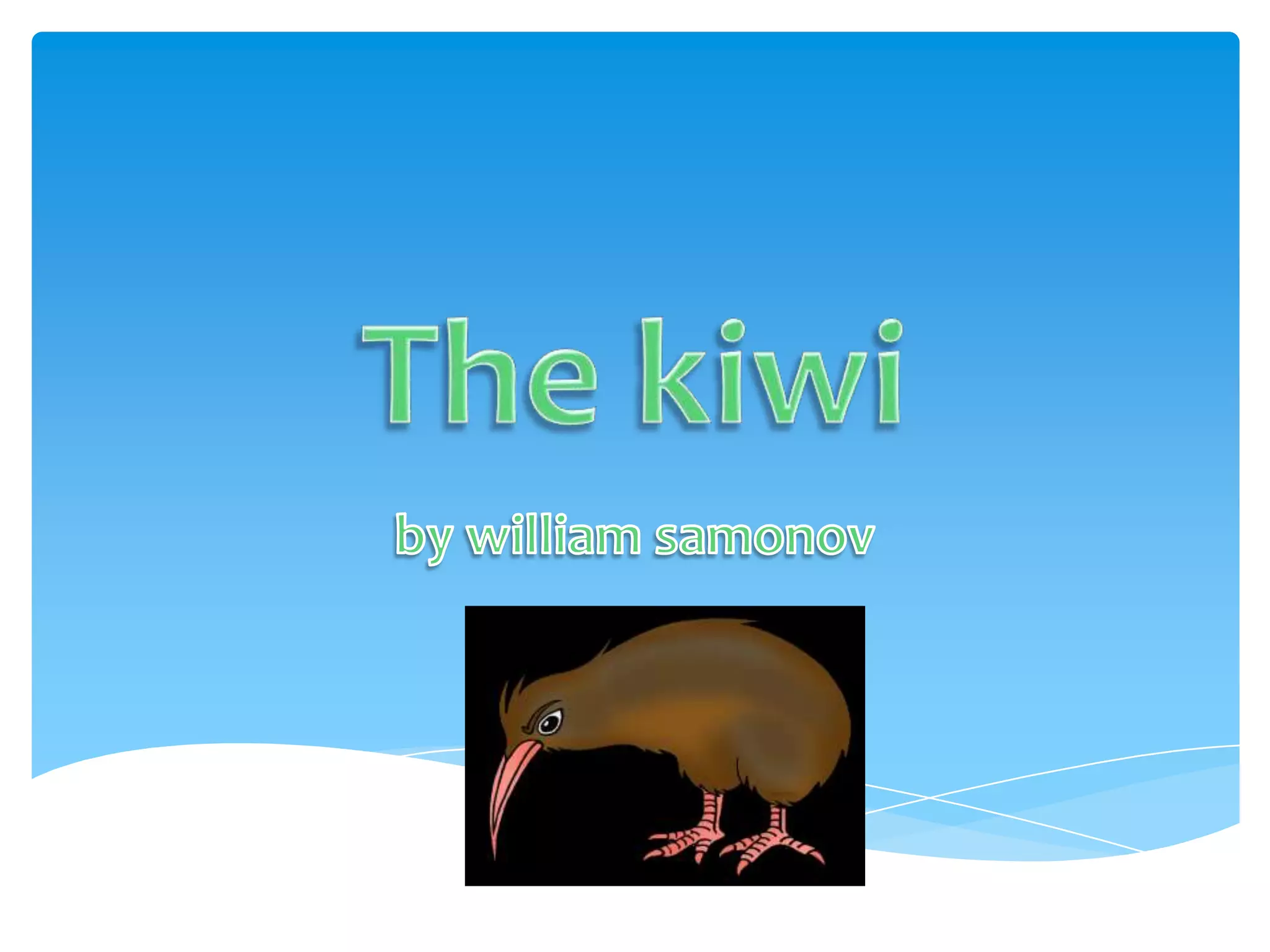 The kiwi presentation | PPTX