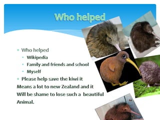 The kiwi presentation | PPTX